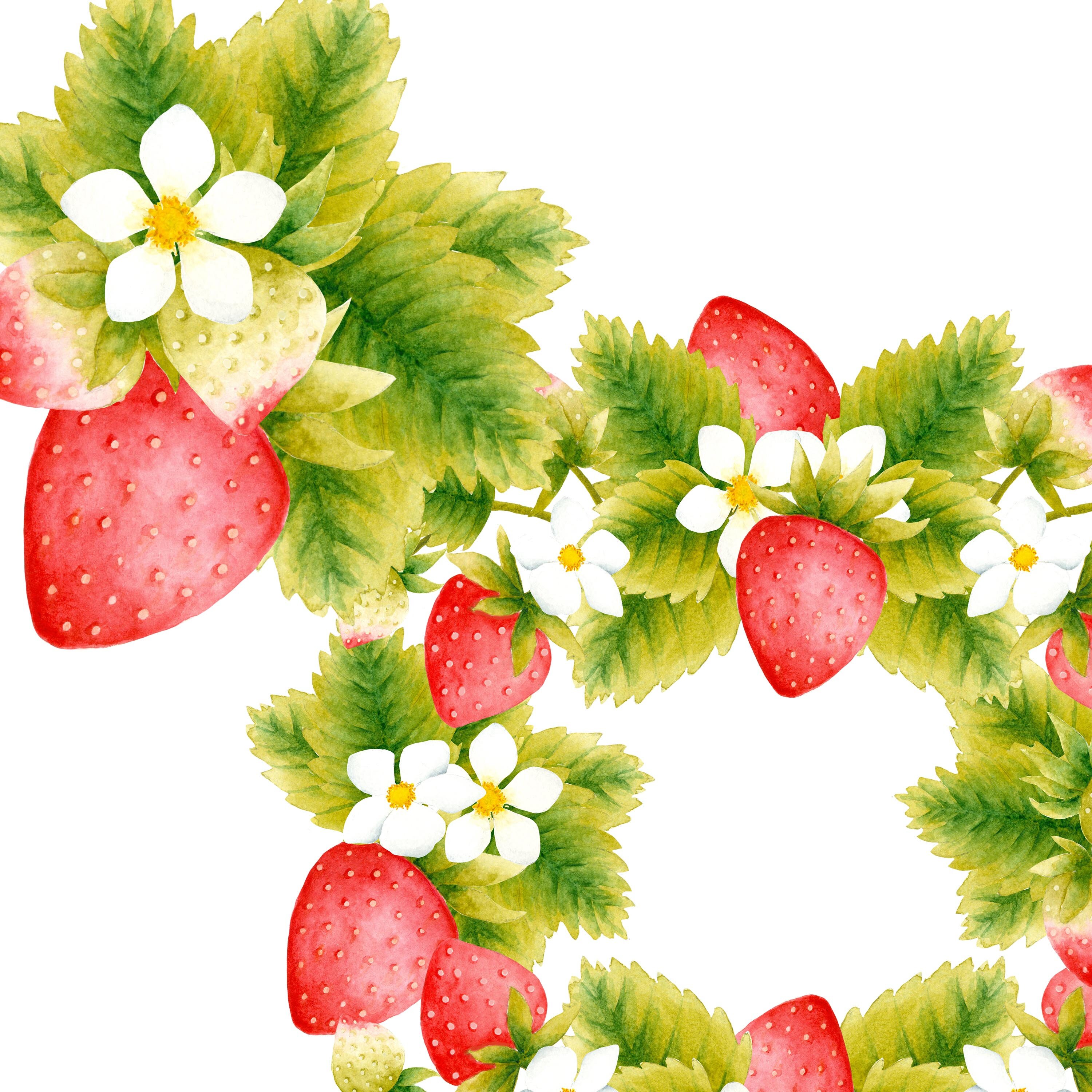 Watercolor Strawberry Clipart Strawberry Illustraion | Etsy