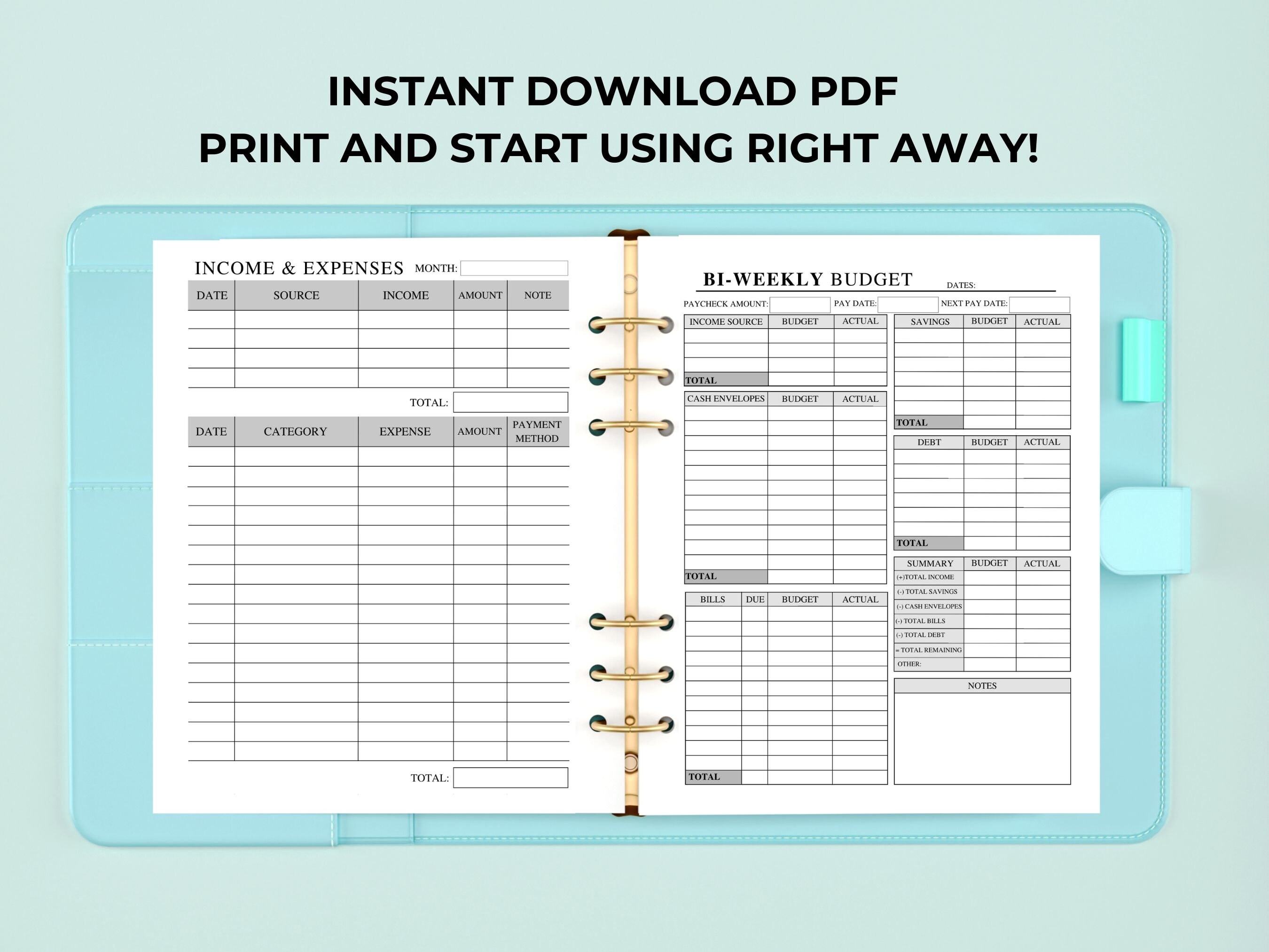 Biweekly Budget Tracker Fillable PDF, Budget Planner Printable, Debt ...