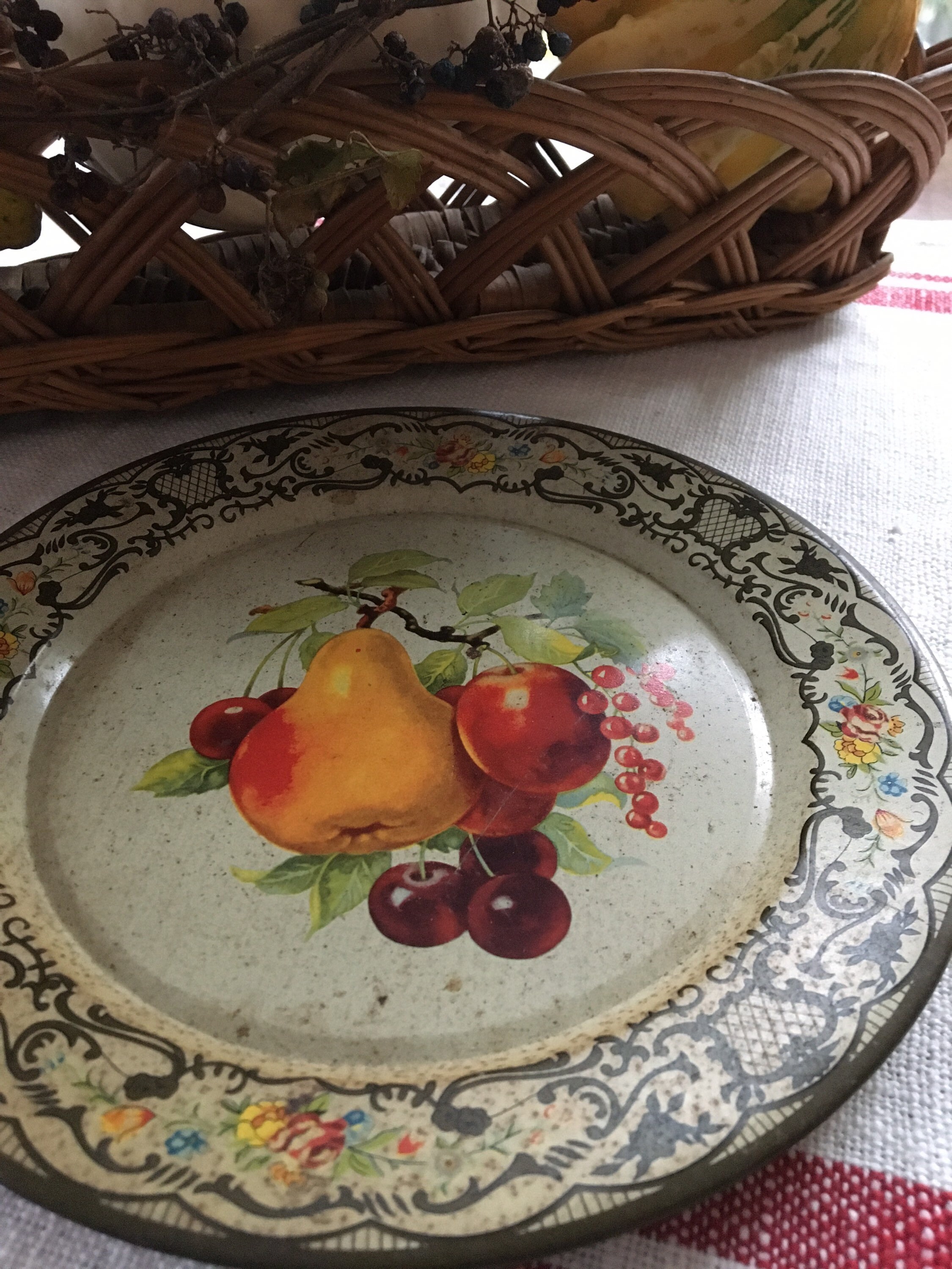 Two Enamelware-tin Plates -DAHER Decorated Ware - Etsy