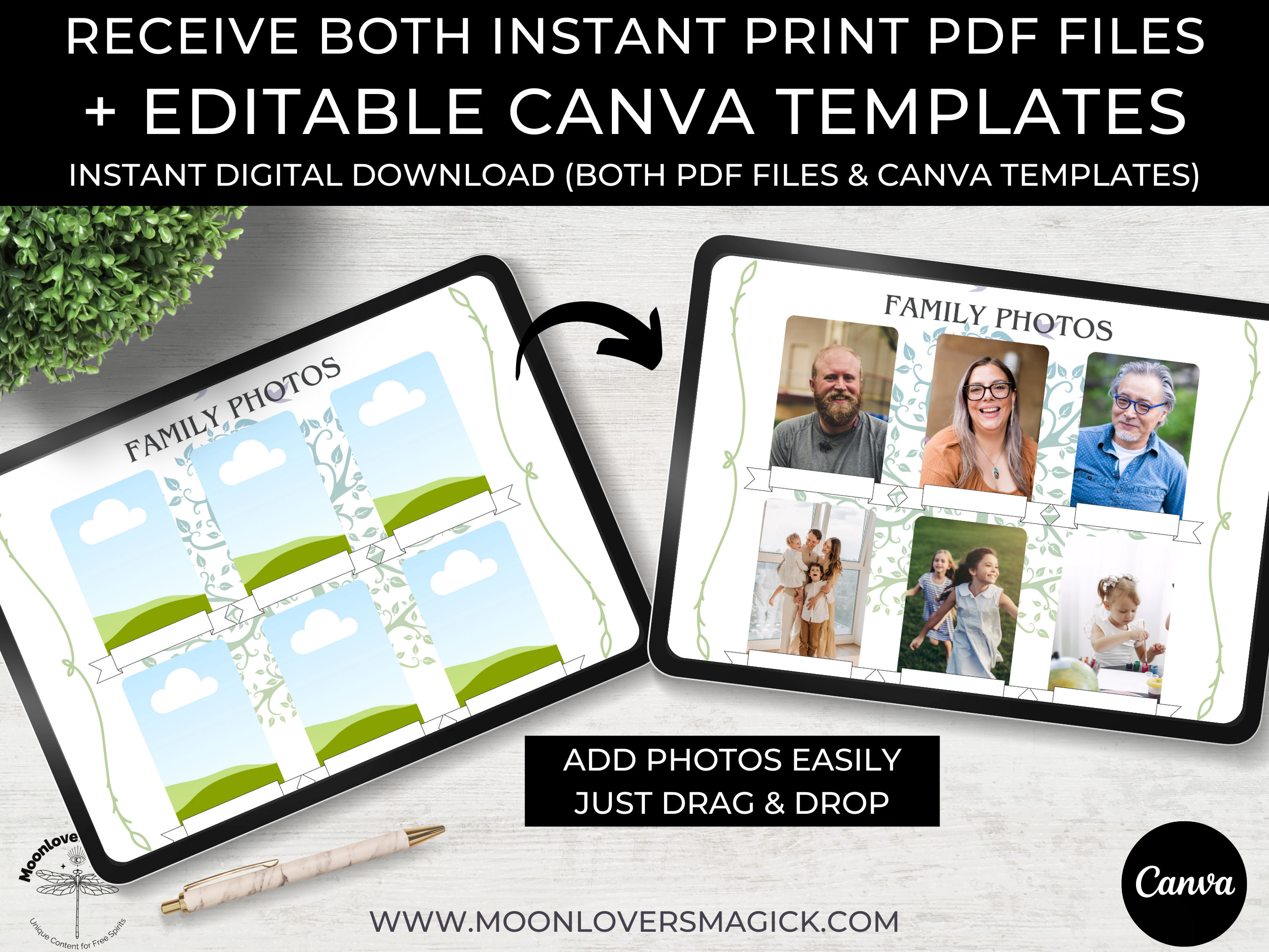 EDITABLE Family Tree Template PDF Canva Family Tree Print - Etsy