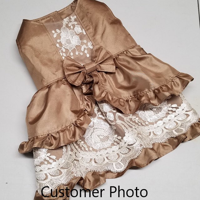 PRINTED Adela Dog Dress Sewing Pattern PDF Dog Clothes | Etsy Canada