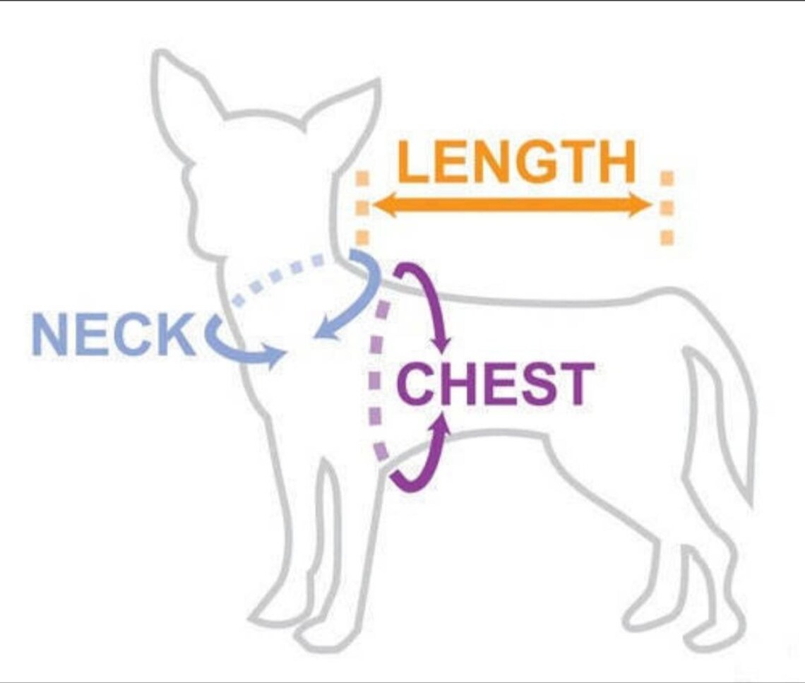 Dog Jeans SMALL & MEDIUM Sewing Pattern PDF Dog Clothes - Etsy