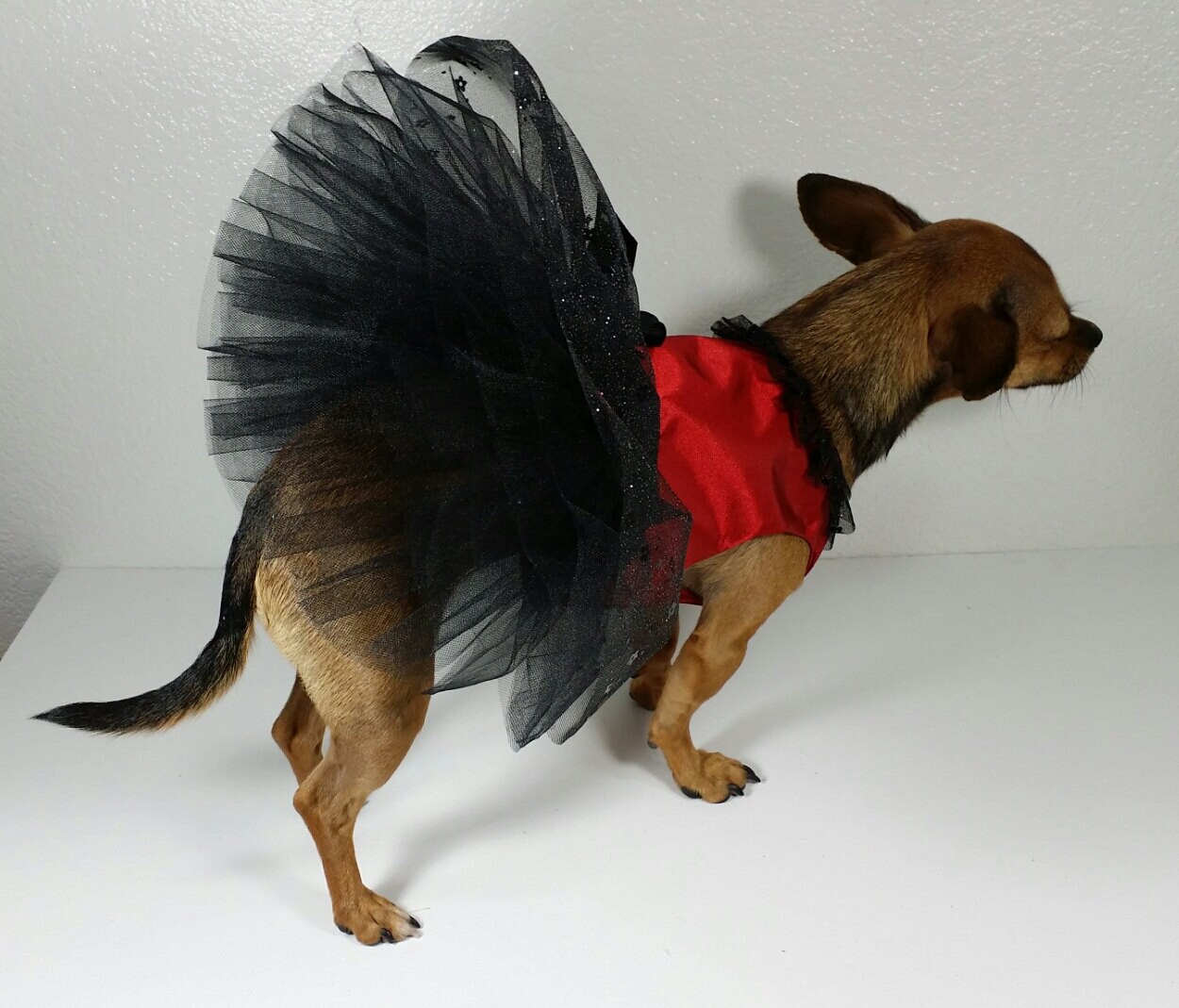 Fairy Tutu Dress Pattern XXLARGE Dog Tutu Pattern Dog | Etsy