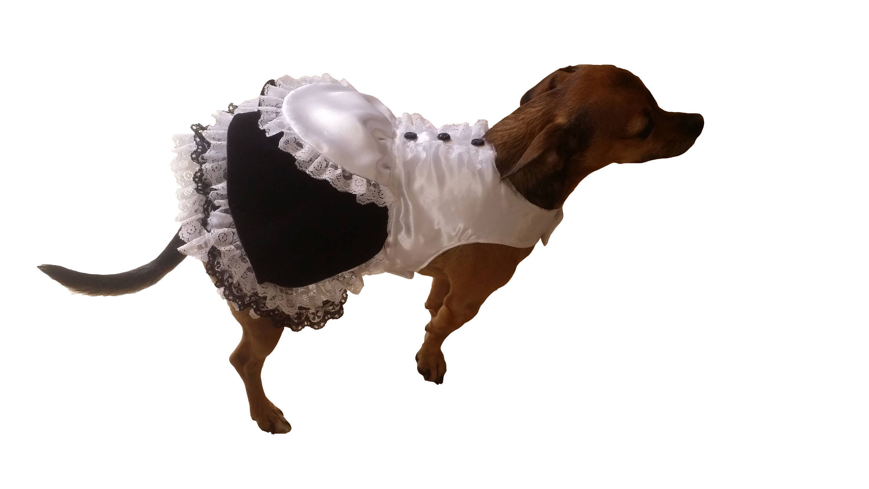 French Maid Dog Dress XLARGE Sewing Pattern PDF Dog Clothes | Etsy