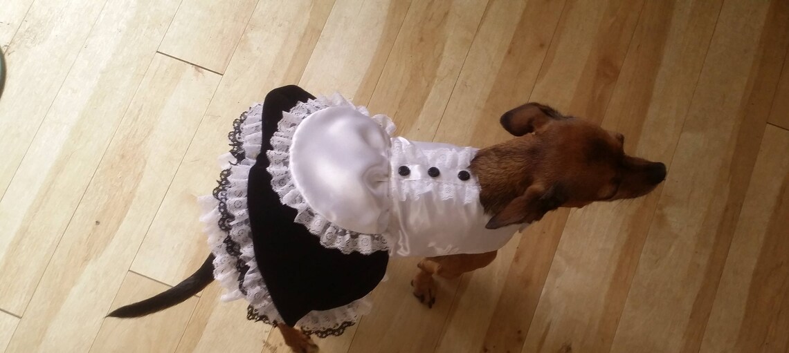 French Maid Dog Dress ALL SIZES Bundle Sewing Pattern PDF | Etsy