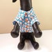 Casual Button Dog Shirt Sewing Pattern PDF, Dog Clothes Pattern, Dog ...