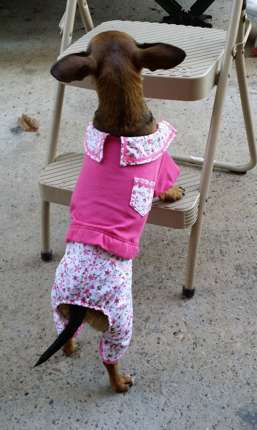 Dog Jeans SMALL & MEDIUM Sewing Pattern PDF Dog Clothes - Etsy