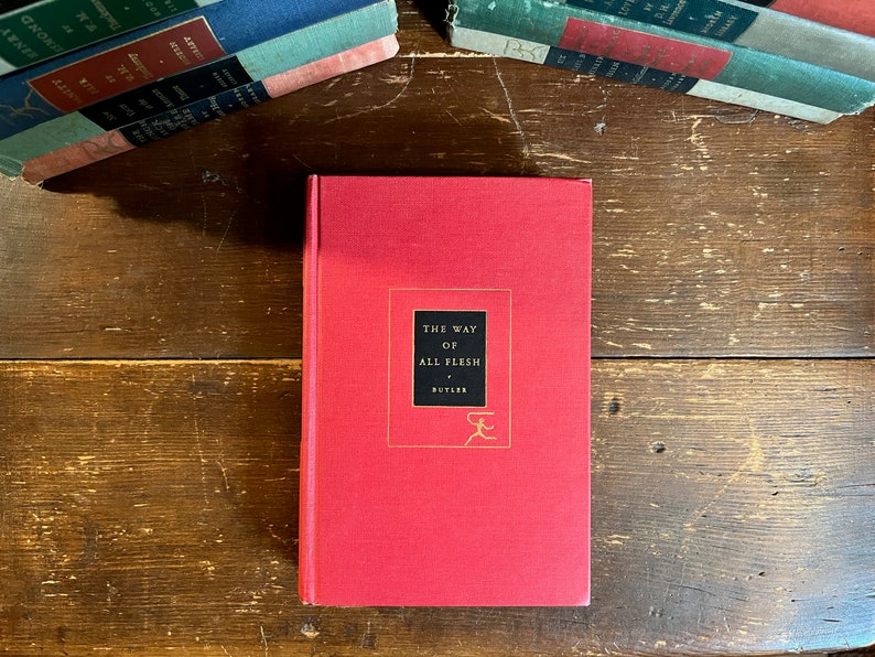 Set of 19 Vintage Modern Library Books. Small Hardcover - Etsy