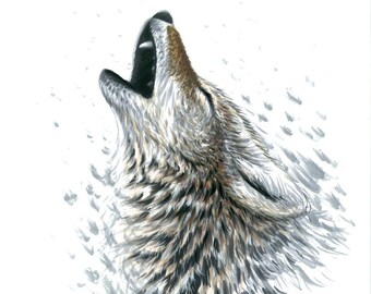 Coyote Howling Art | Etsy