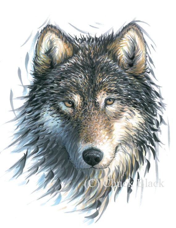 Timber Wolf Limited Edition Art Print with the - Etsy