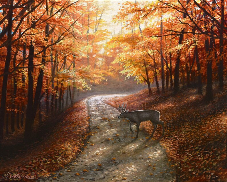 Whitetail Buck Limited Edition Art Print autumn - Etsy