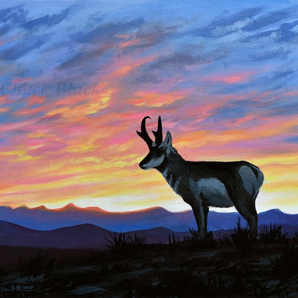 Antelope Art - Etsy