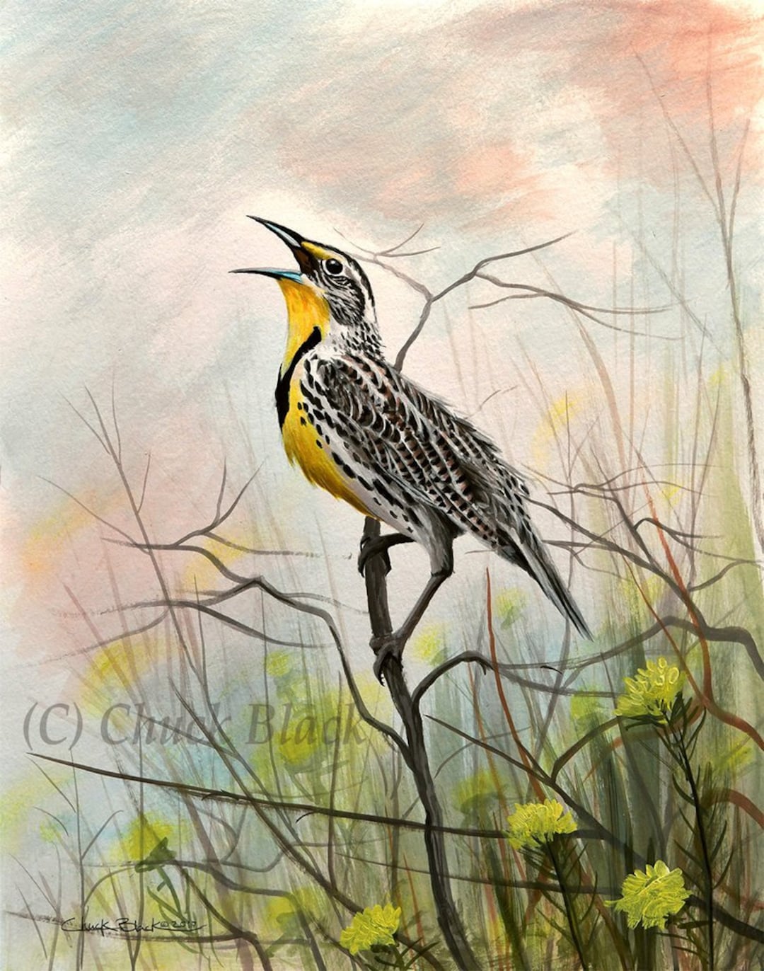 Western Meadowlark Limited Edition Art Print western - Etsy