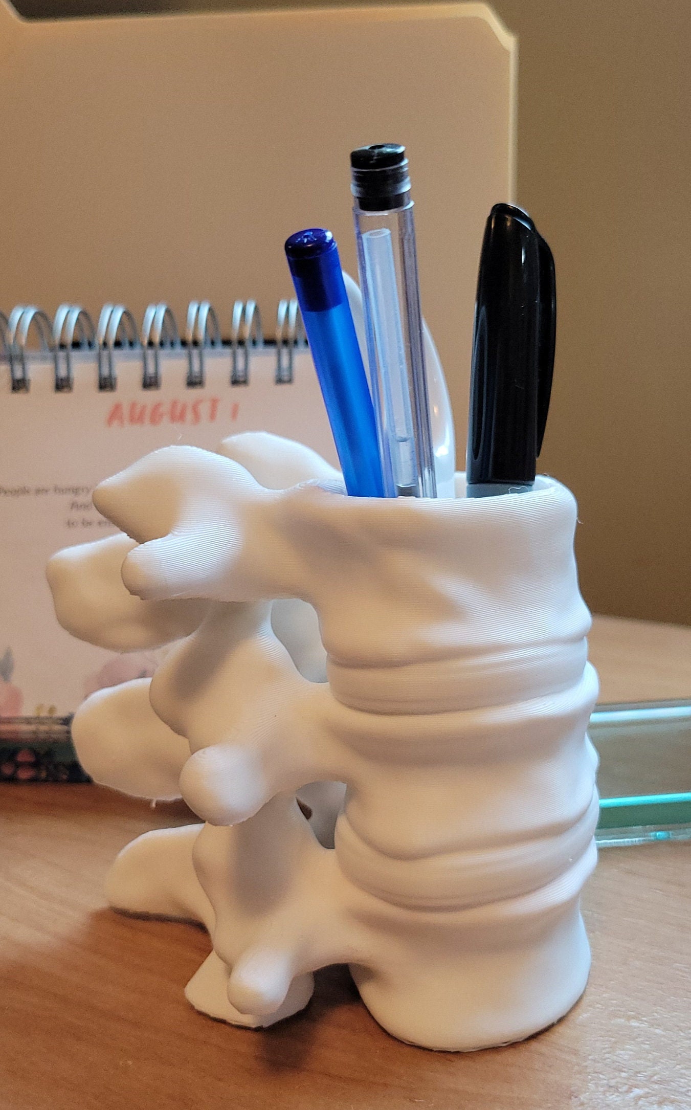 3D Lumbar Spine Model, Human Anatomy Parts- 3D Printable S, Pen Holder ...
