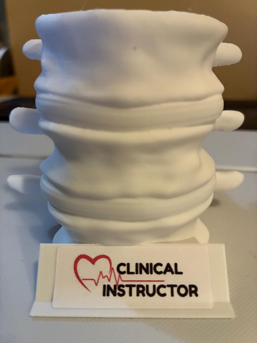 Medical Spine Model, Xray Tech , Retirement, Pen Holder, Chiropractor ...