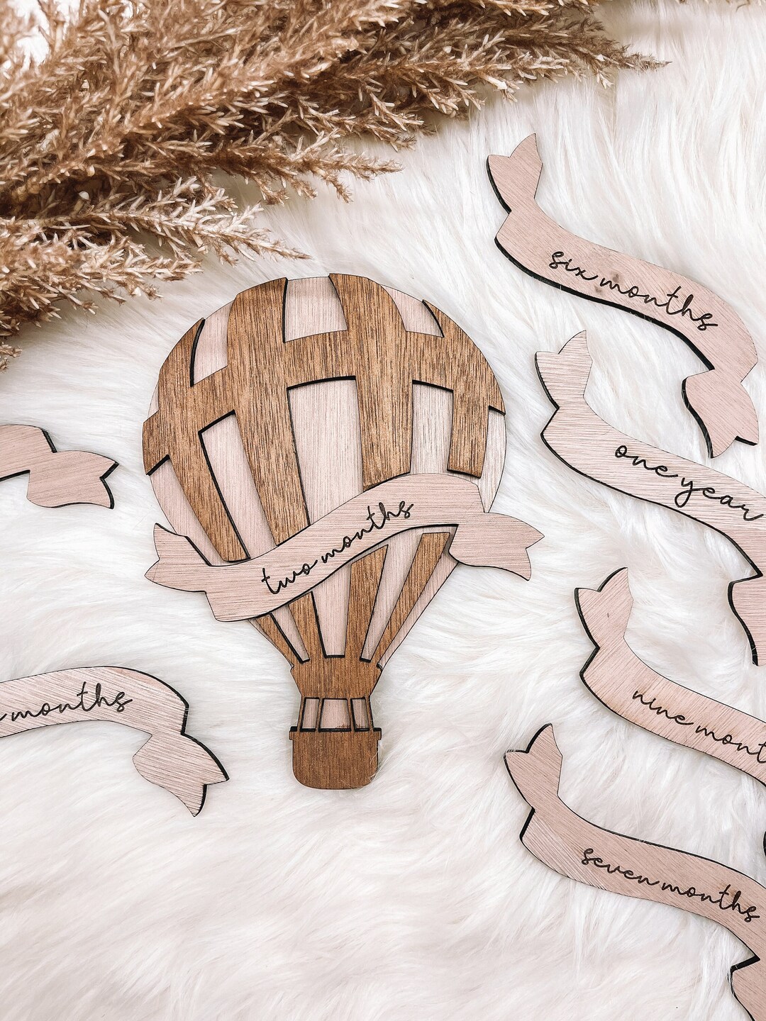 Hot Air Balloon Milestone Prop | Baby Milestones | Baby Milestone Cards ...