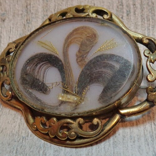 Antique Victorian Mourning Hair Brooch - Etsy