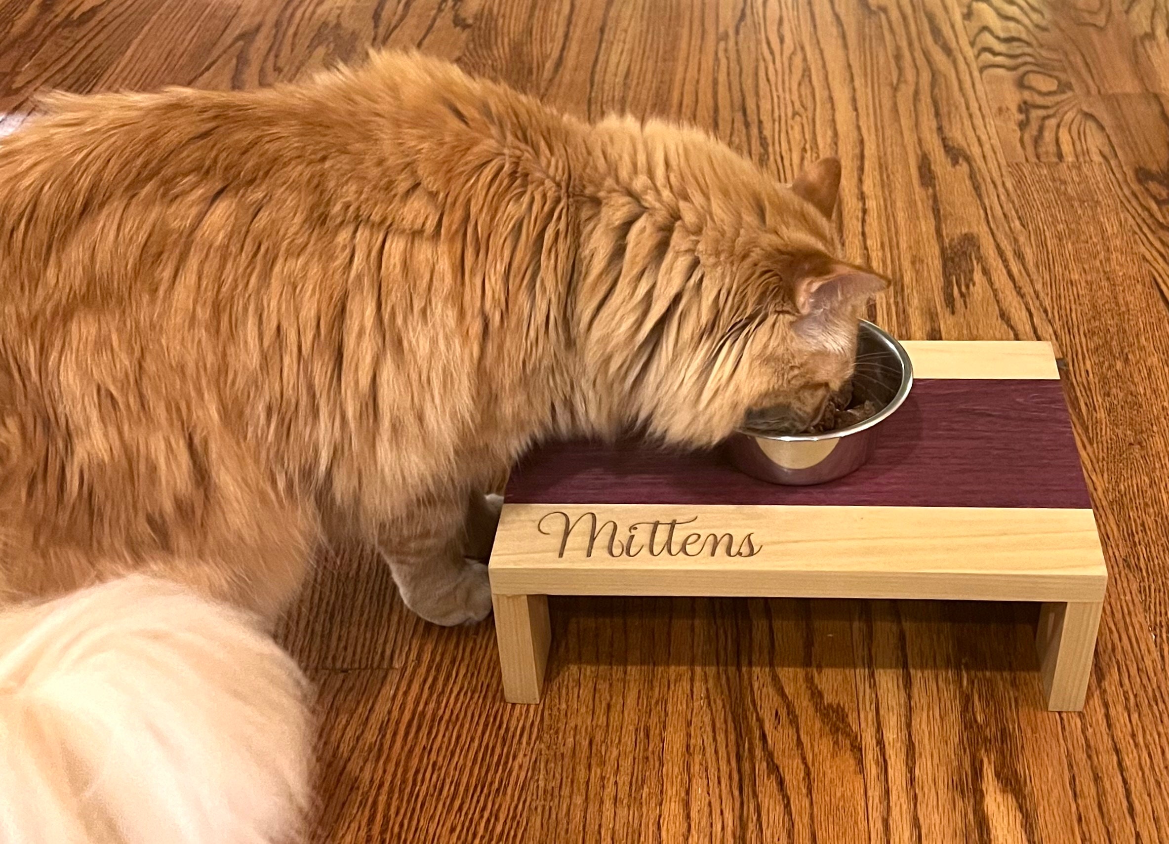 Elevated Cat Food Pedestal Stand Tray Station Wood Feeding Tray Riser ...