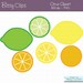 Citrus Digital Art Set Clipart INSTANT DOWNLOAD Fruit Clipart Lemon ...