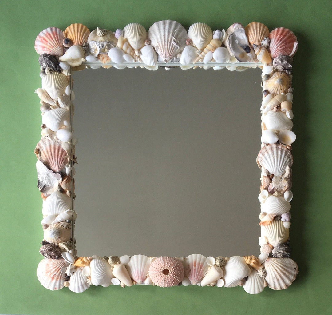 Sea Urchin Shell Wall Mirror - Etsy