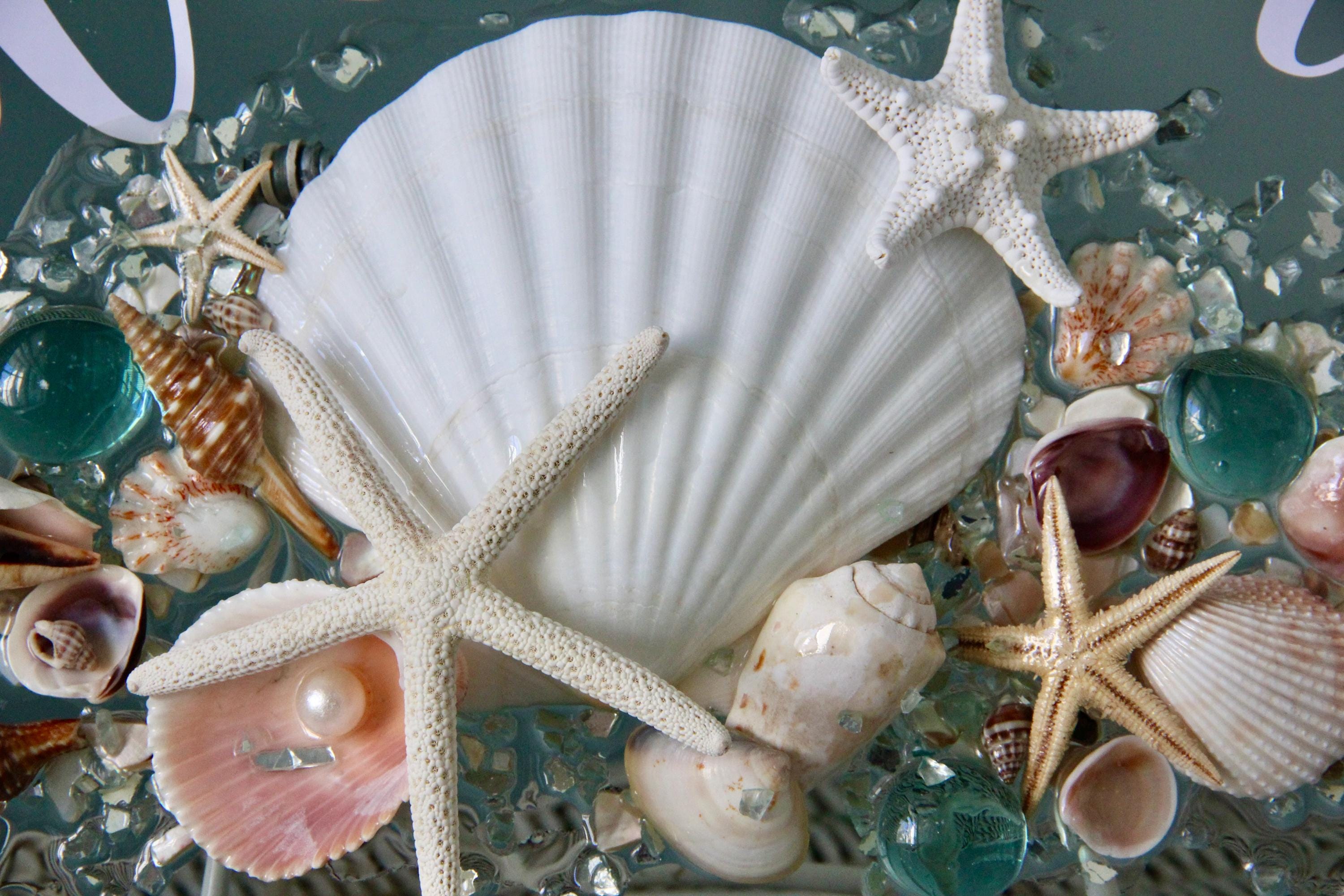Seashell Welcome Sign: Beach Cottage Decor, Coastal Wall Art - Etsy