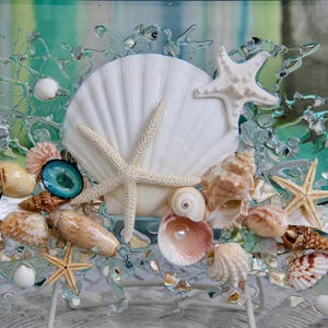 Teal Seashell Wall Hanging for Beach Decor, Horizontal Shell Art for ...