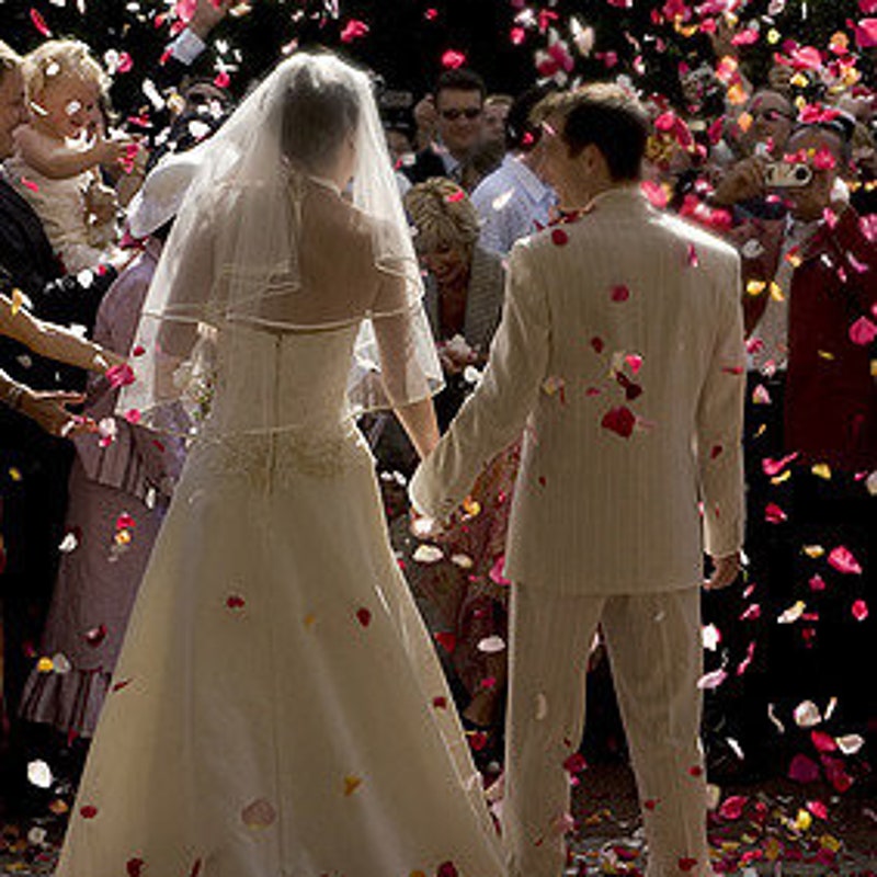 Organic Confetti - Etsy