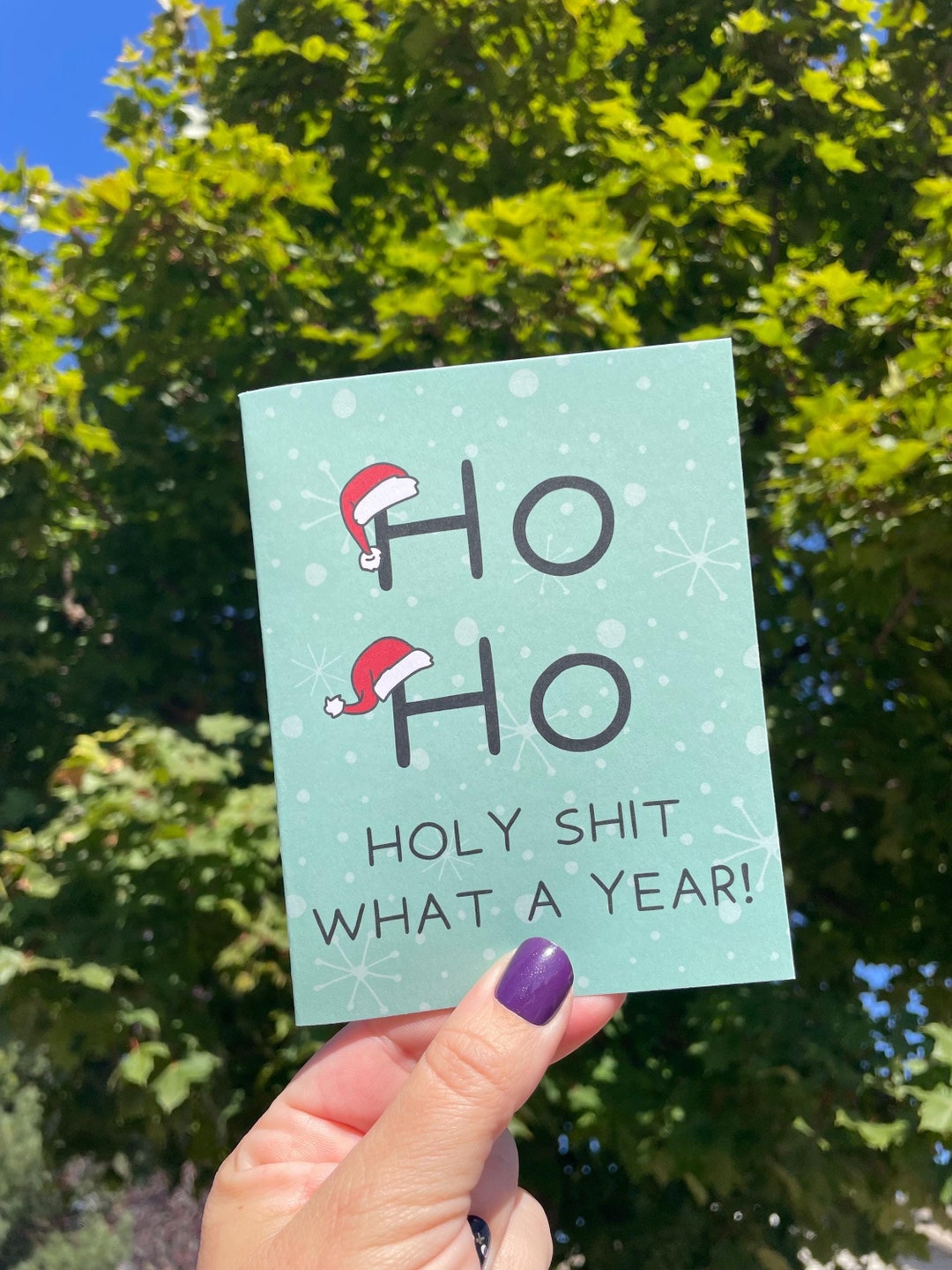Funny Ho Ho Holy Shit What a Year Holiday Christmas Greeting Card for ...