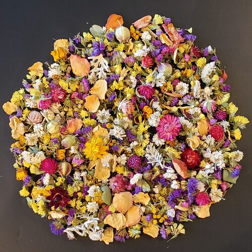 Bunch of Mini Dried Roses Naturally Dried Roses Crafts - Etsy