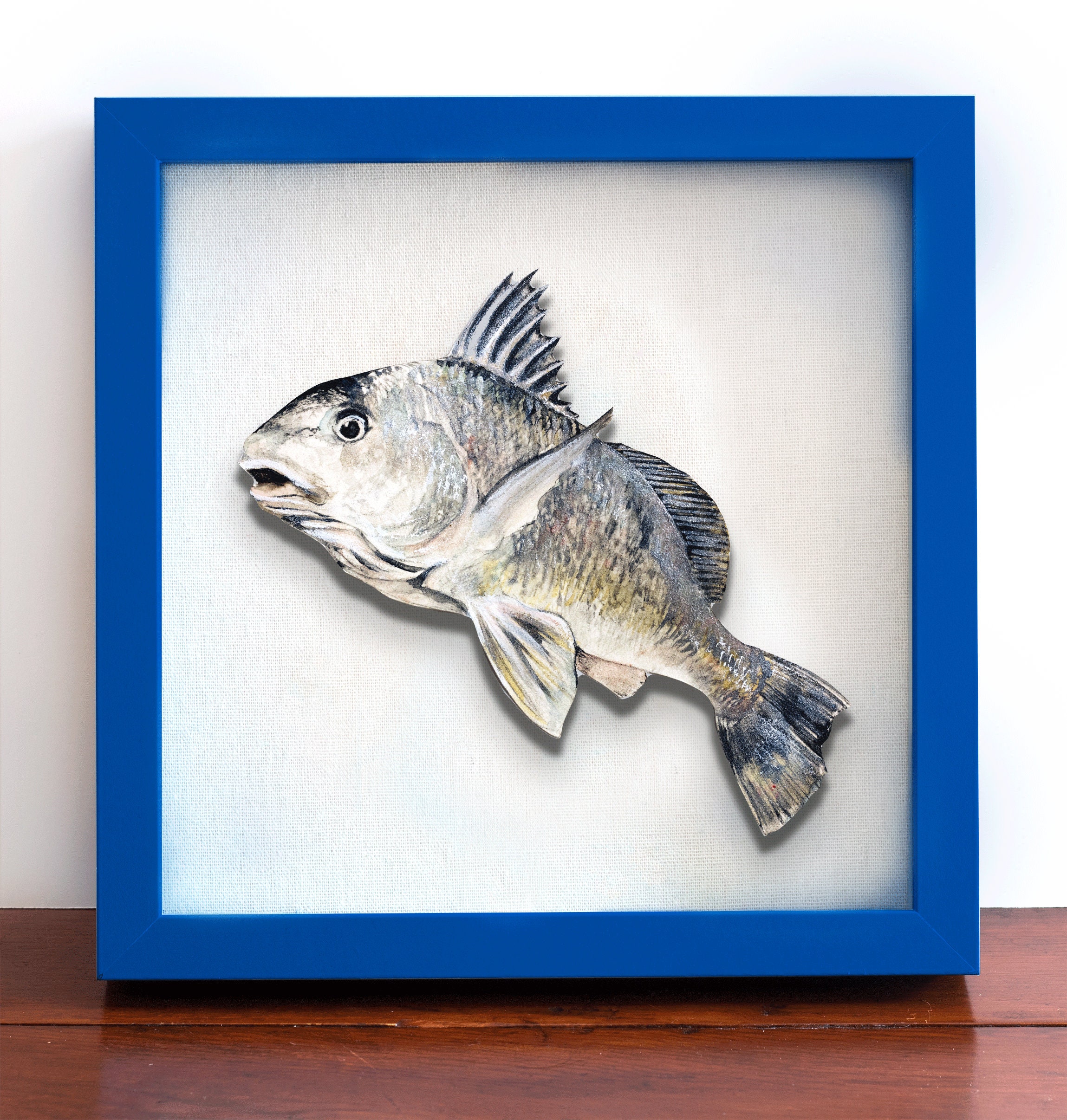 Freshwater Fish Shadowbox Fishing Nursery Wall Art Walleye - Etsy