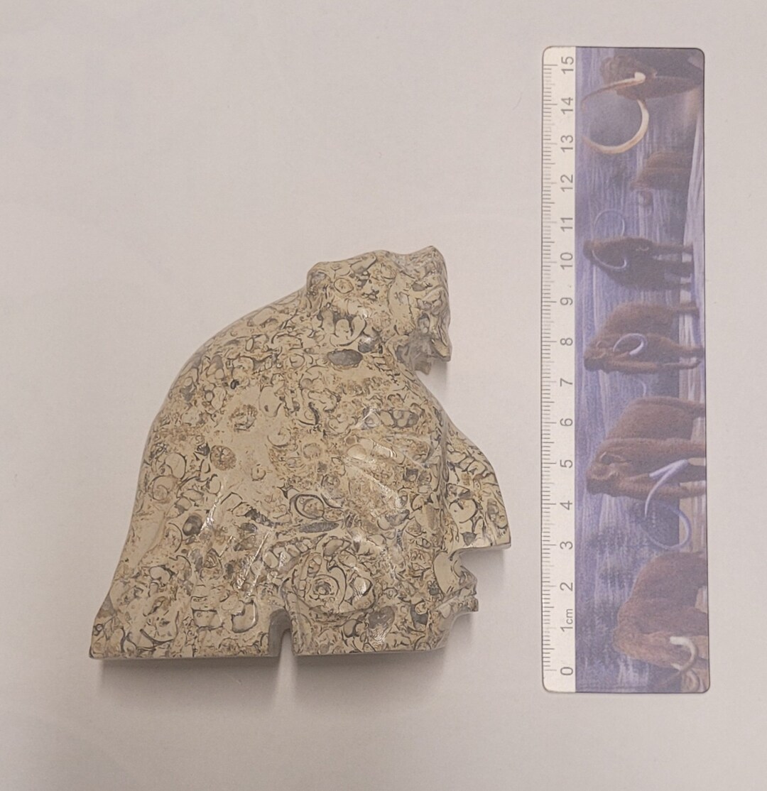 Fossil Stone Mayan Face Carving With Jaguar Headress - Etsy