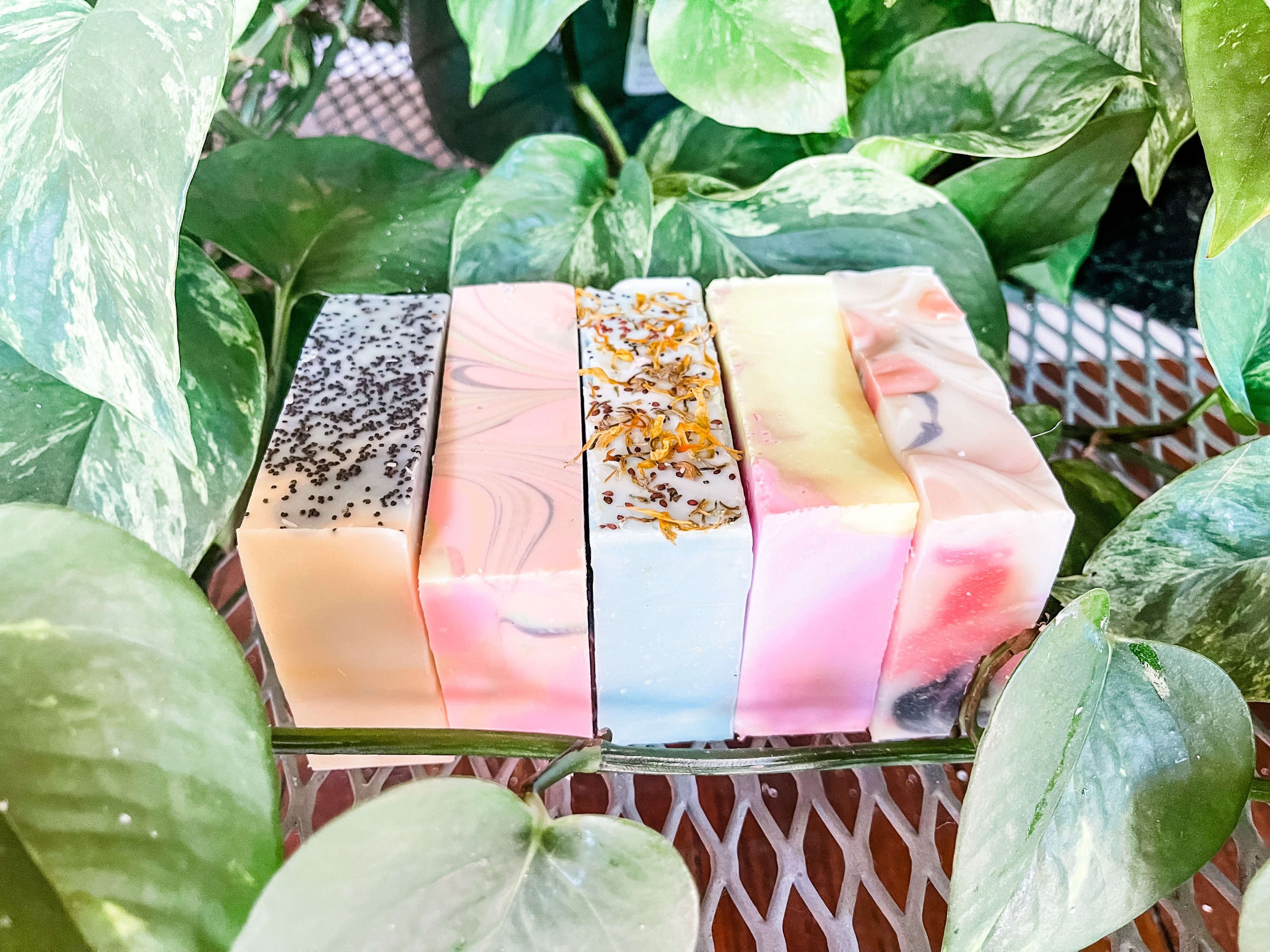 5 Handcrafted Natural Goat Milk Soaps Free Shipping