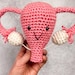Crochet Uterus Plush With Ovaries, Crochet Midwife or Doctor Gift ...
