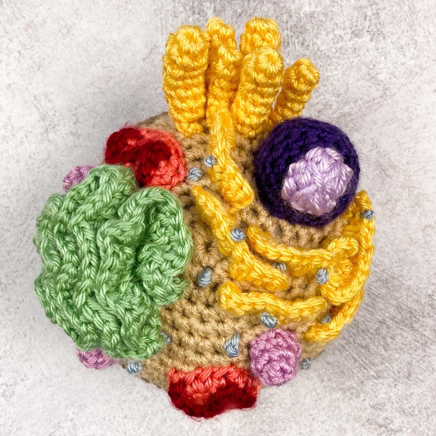 Crochet Eukaryotic Cell Pattern PDF PATTERN Crochet Science | Etsy