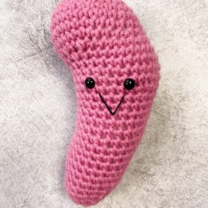 Crochet Anatomical Stomach- PDF PATTERN | Crochet Anatomy, Body Parts ...