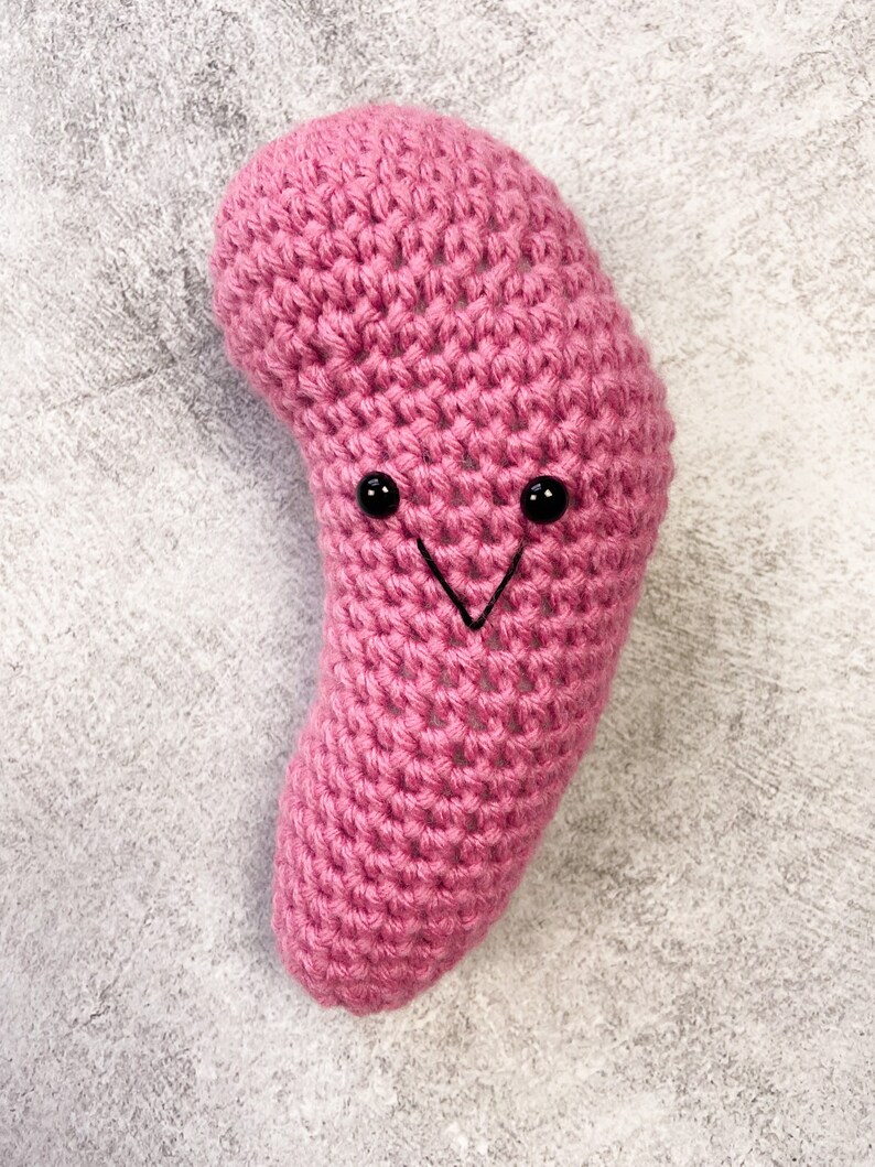 Crochet Anatomical Stomach PDF PATTERN Crochet Anatomy - Etsy