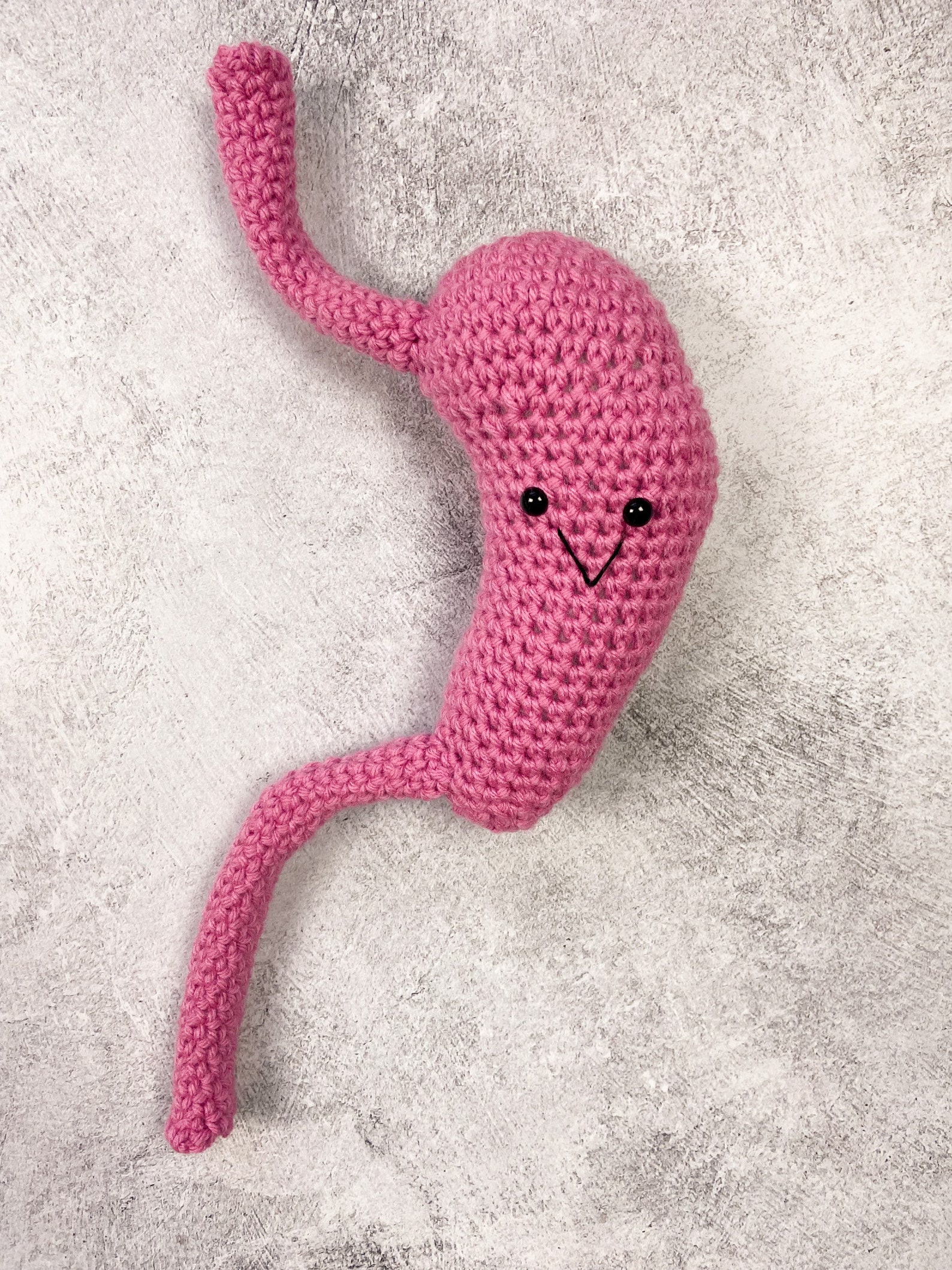 Crochet Anatomical Stomach PDF PATTERN Crochet Anatomy | Etsy