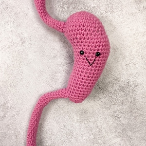 Crochet Anatomical Stomach- PDF PATTERN | Crochet Anatomy, Body Parts ...