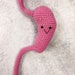 Crochet Anatomical Stomach- PDF PATTERN | Crochet Anatomy, Body Parts ...