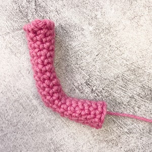 Crochet Anatomical Stomach- PDF PATTERN | Crochet Anatomy, Body Parts ...