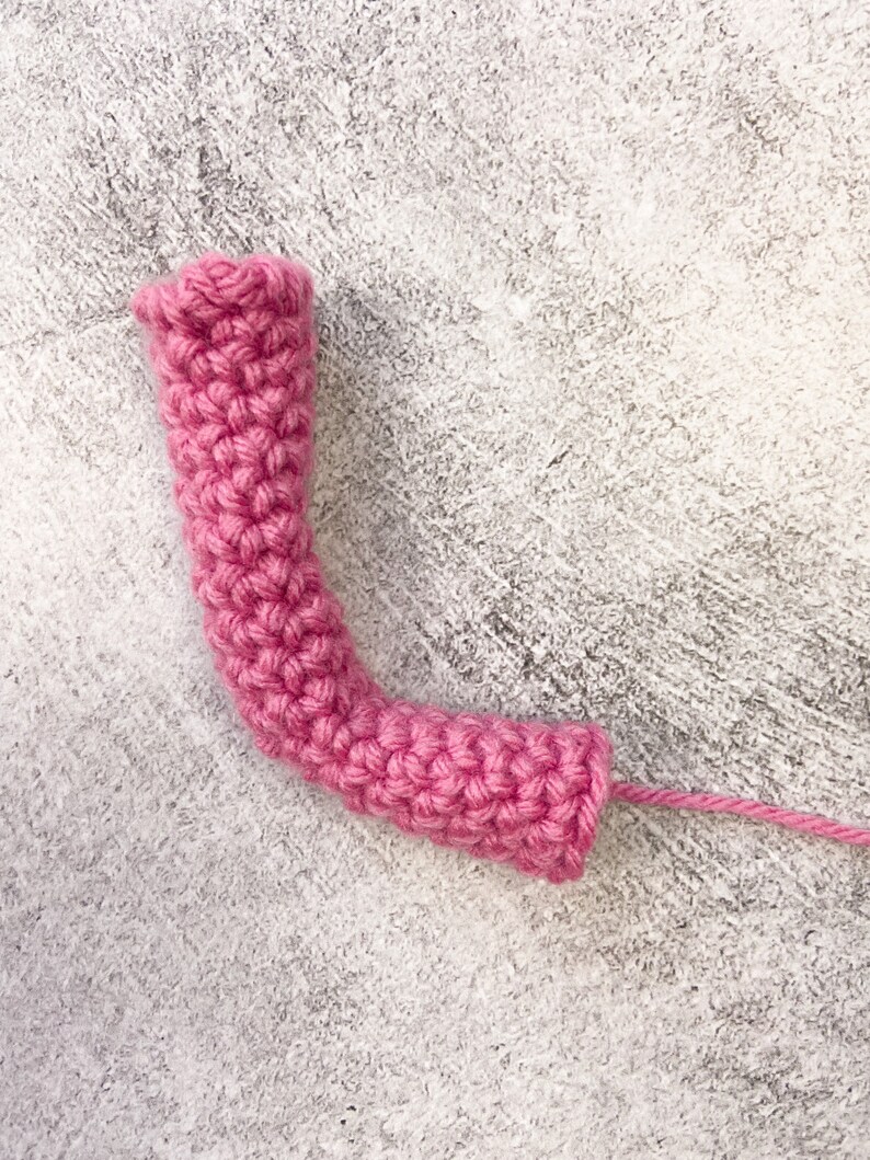 Crochet Anatomical Stomach PDF PATTERN Crochet Anatomy - Etsy