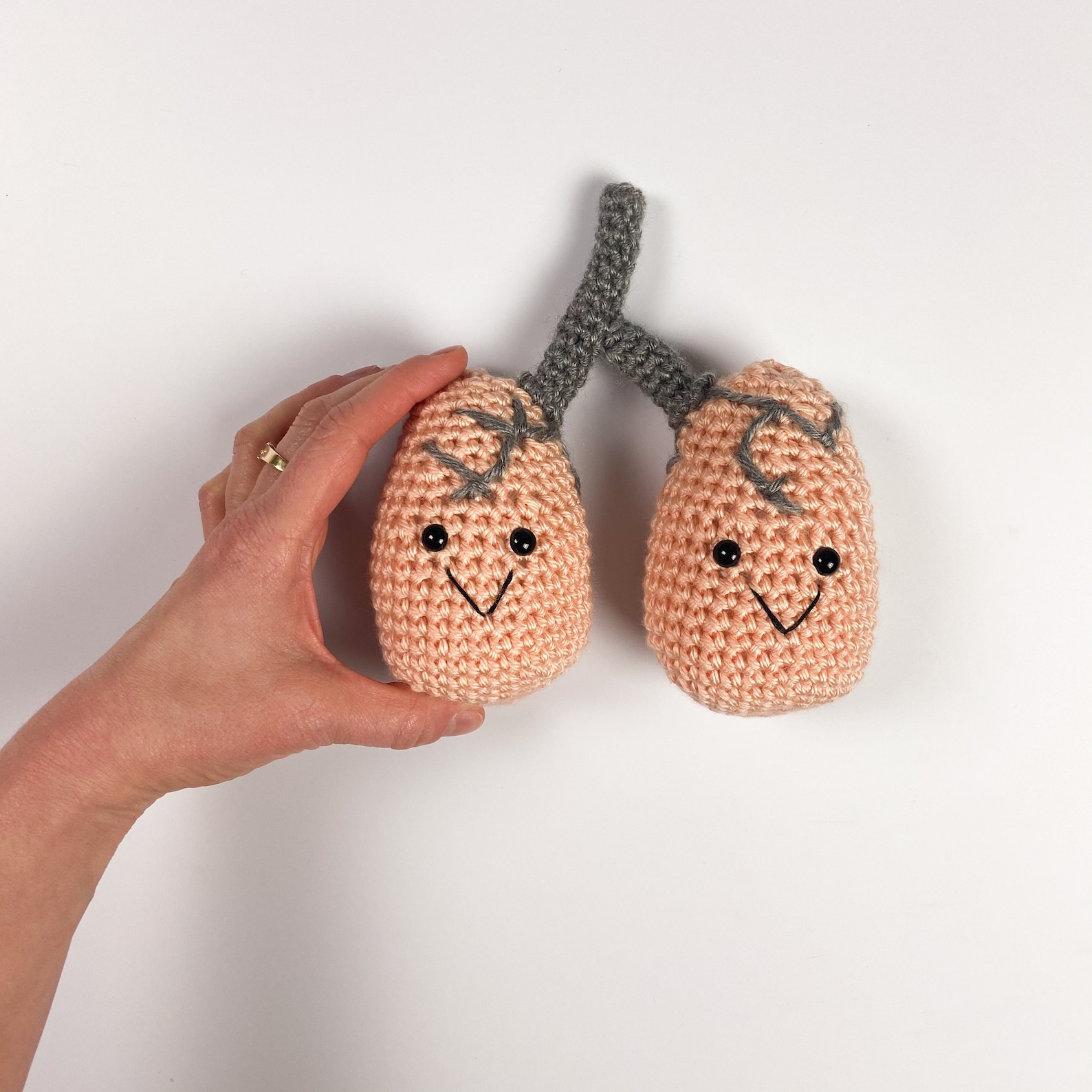 Crochet Lungs Plush Crochet Doctor Gift Lung Gift Knit Body - Etsy