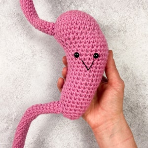 Crochet Anatomical Stomach- PDF PATTERN | Crochet Anatomy, Body Parts ...