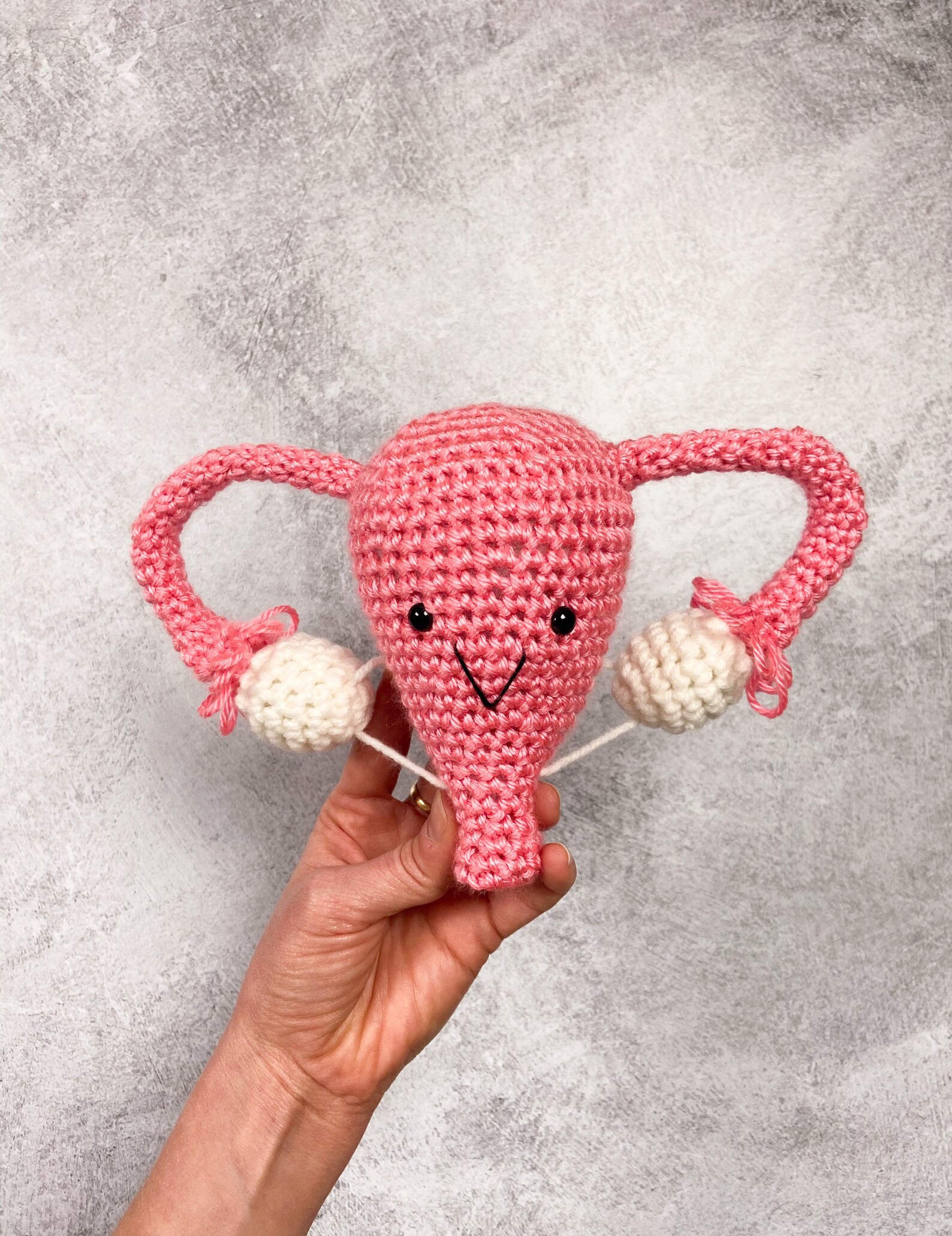 Crochet Uterus Plush With Ovaries, Anatomical Teaching Tool - Etsy