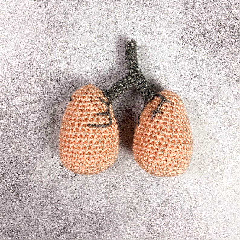 Crochet Lungs Plush Crochet Doctor Gift Lung Gift Knit Body - Etsy