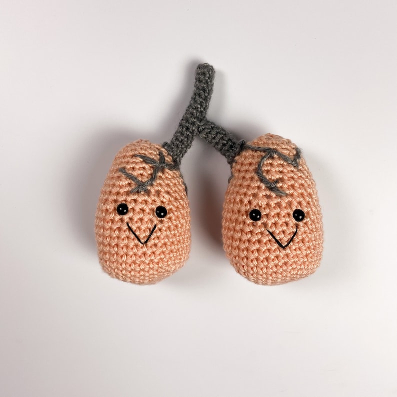 Crochet Lungs Plush Crochet Doctor Gift Lung Gift Knit Body - Etsy