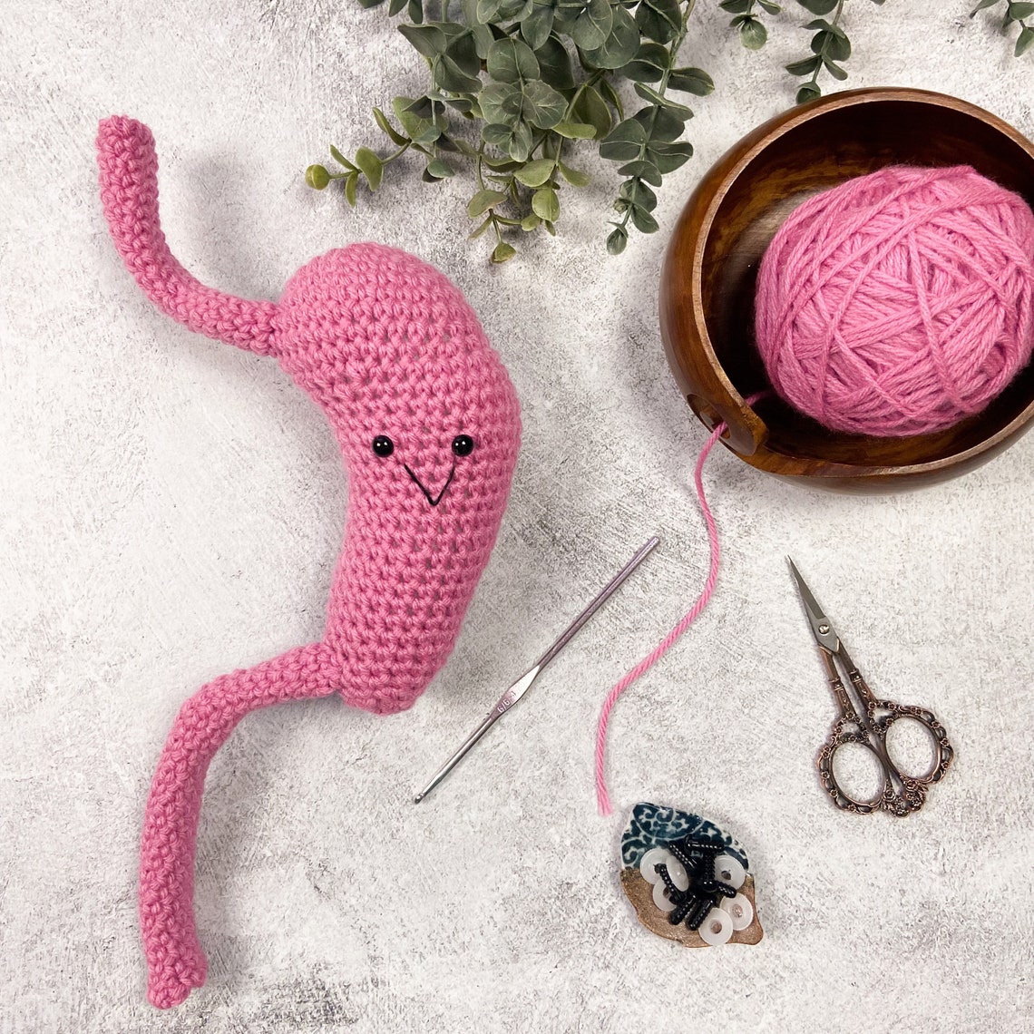 Crochet Anatomical Stomach PDF PATTERN Crochet Anatomy - Etsy