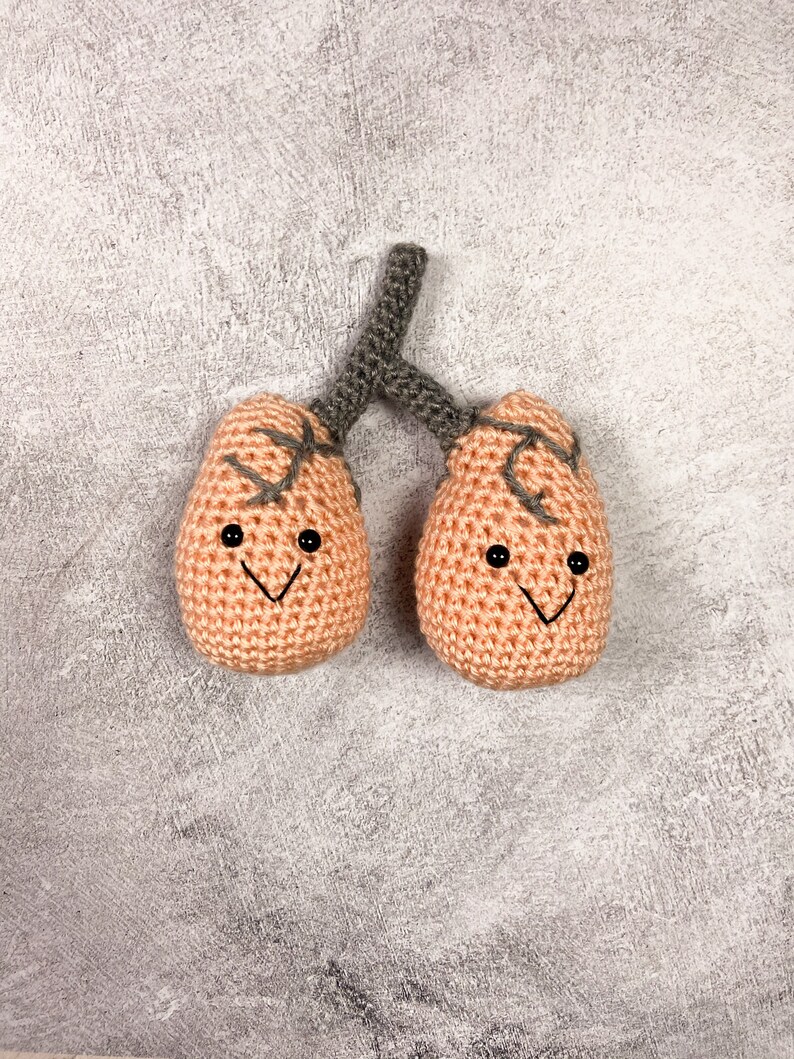 Crochet Lungs Plush Crochet Doctor Gift Lung Gift Knit Body - Etsy