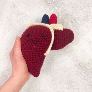 Crochet Anatomical Liver Pattern - Anatomy Learning Tool (PDF Pattern ...