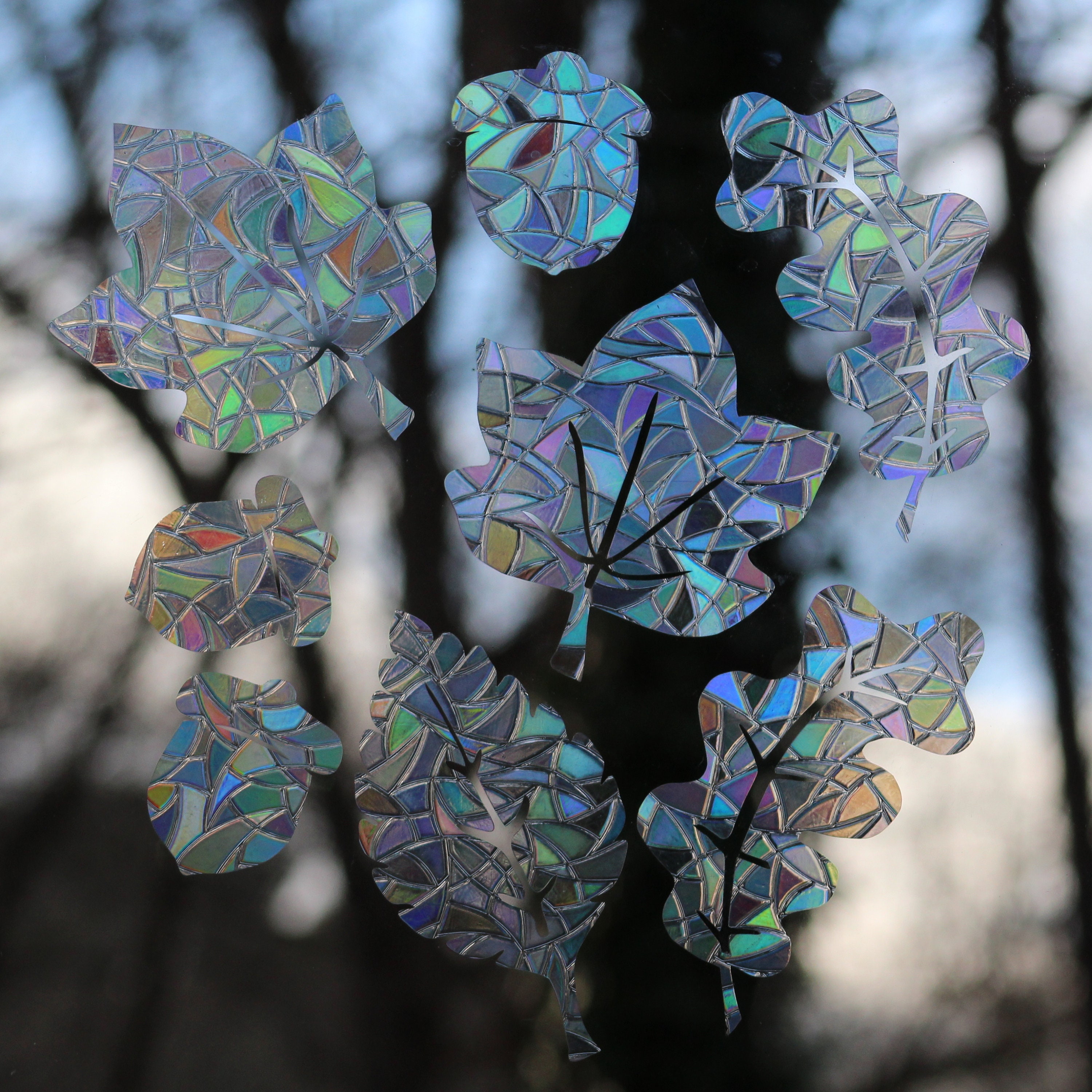 Leaves and Acorns Rainbow Prism Window Decals Set of 8 | Etsy